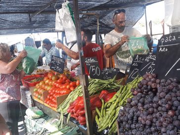 How is shopping in Malaga? – Surviving Malaga